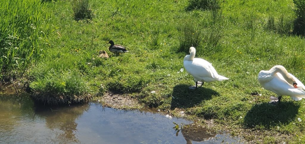 Ronny Allan: Living with Neuroendocrine Cancer during lockdown ...