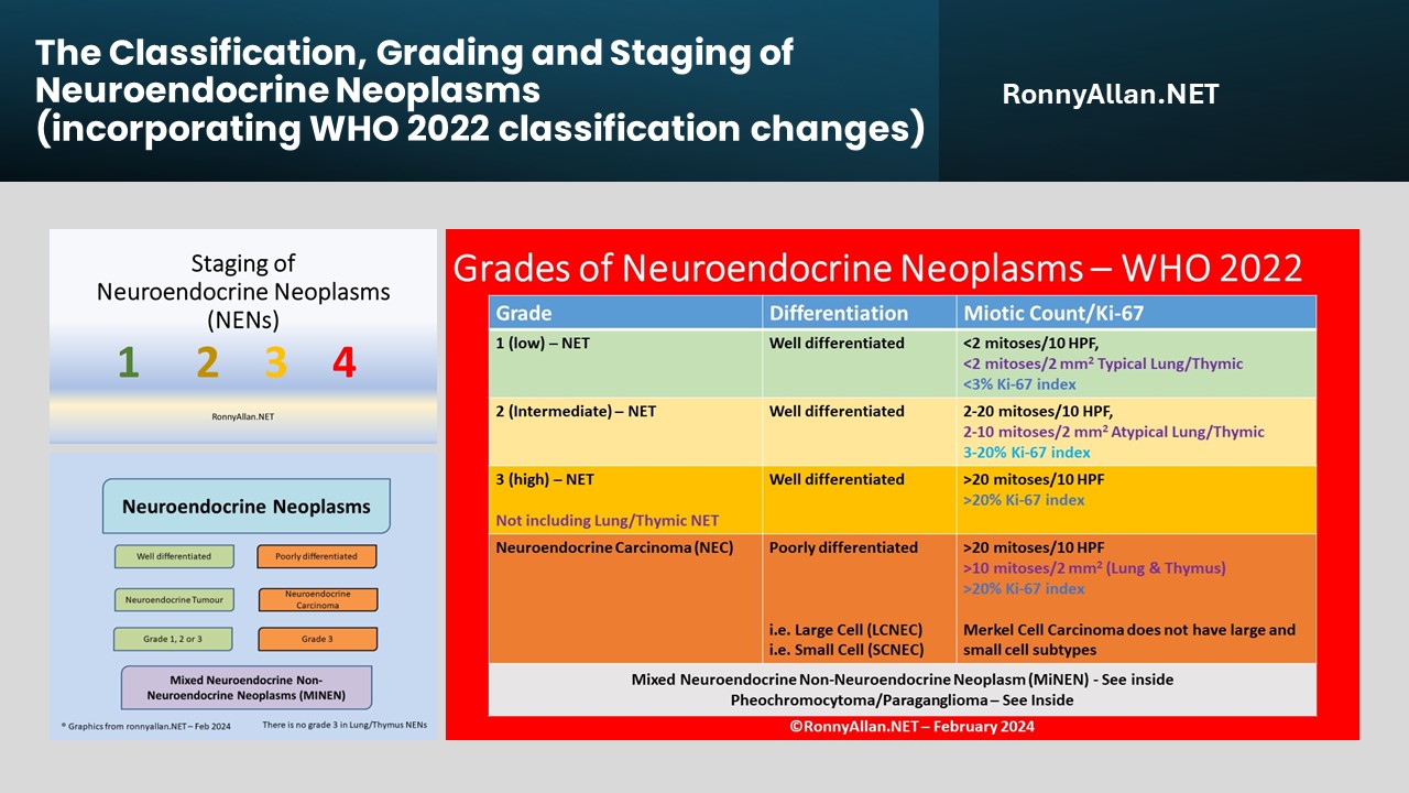 The Classification, Grading and Staging of Neuroendocrine Neoplasms ...