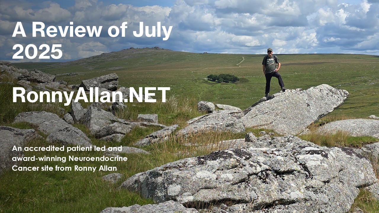 Ronny Allan – a review of my blog activity July 2025 - Ronny Allan ...